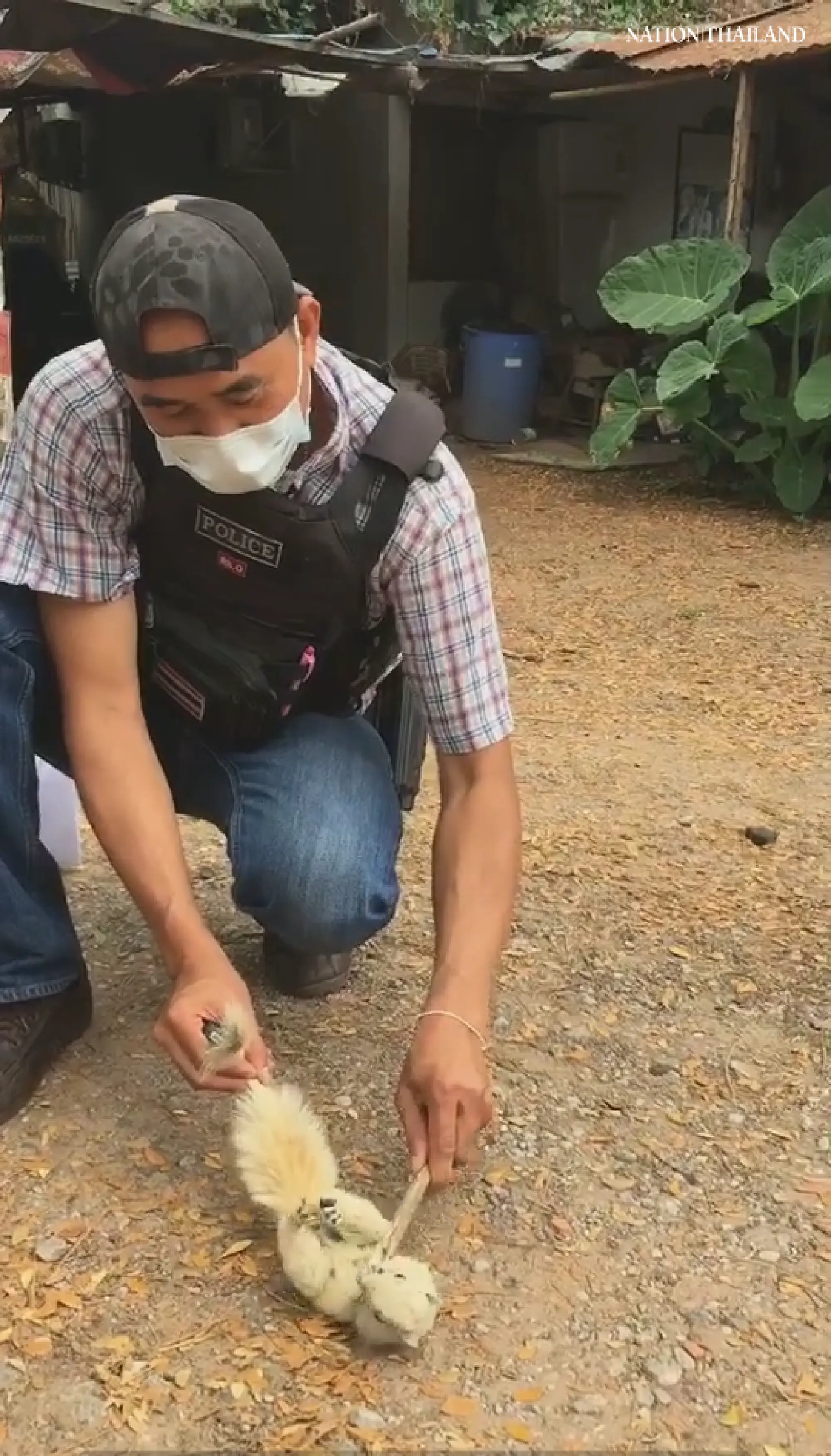 Electrocuted squirrel brought back to life